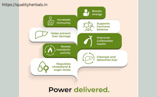 QUALIV-Z Best Ayurvedic Liver Detox Tonic Syrup (Sugar Free) - Quality ...